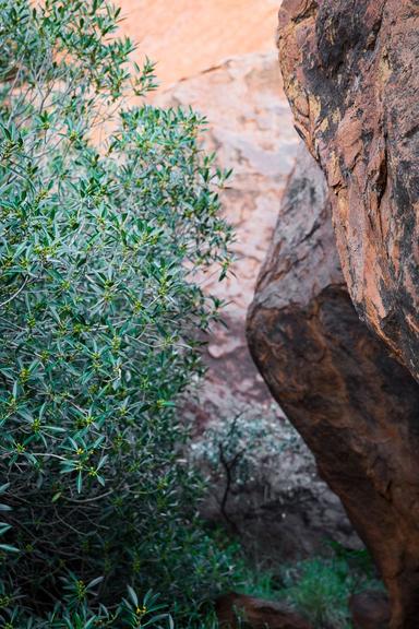 The Story of Uluru | Ayers Rock Resort