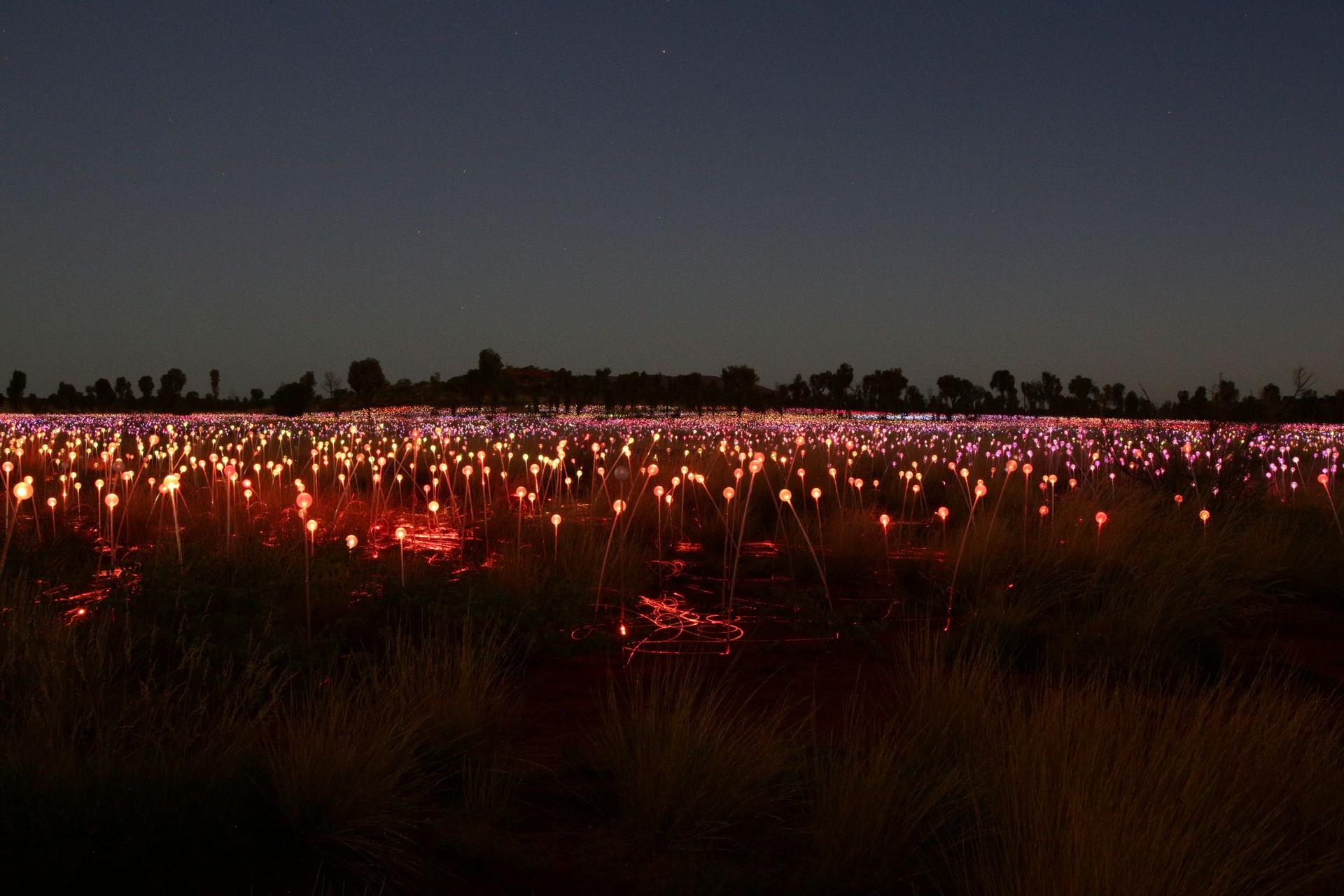 Field of Light Star Pass | Ayers Rock Resort