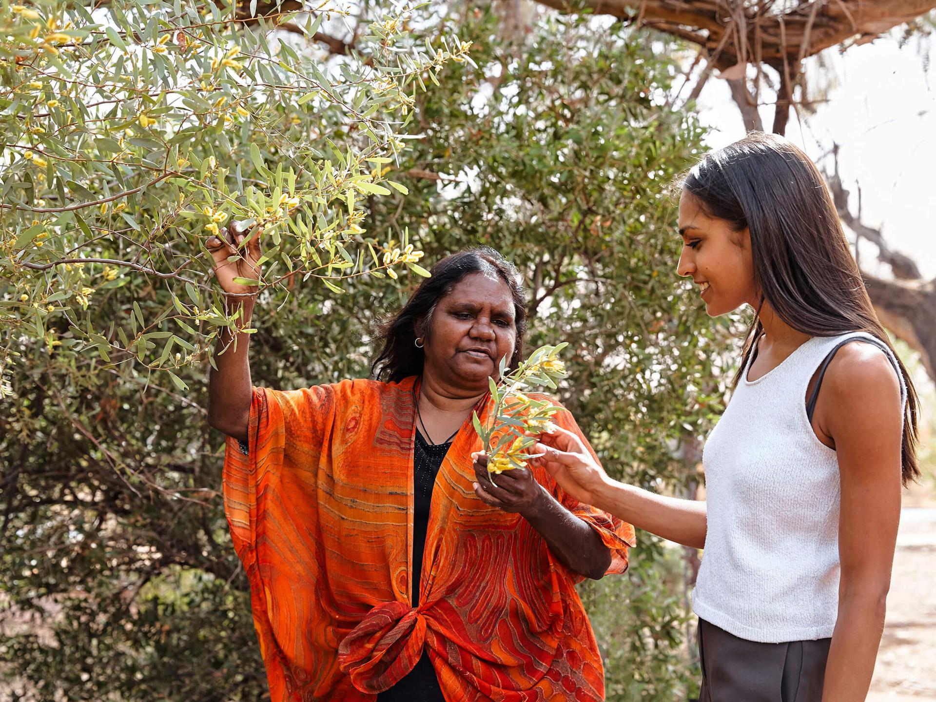 An Anangu Q&A | Ayers Rock Resort