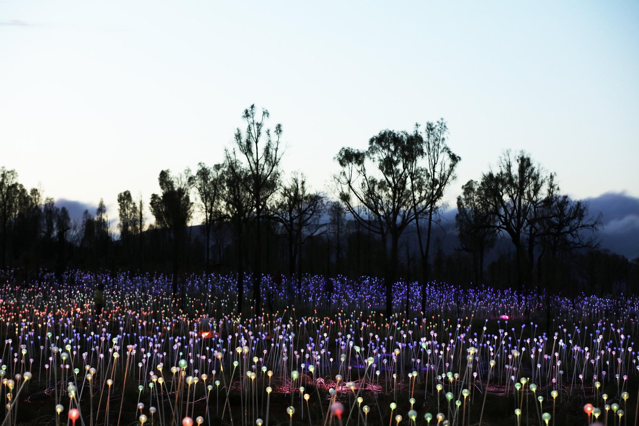 Field of Light | Ayers Rock Resort