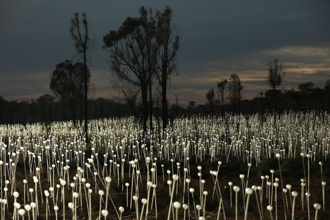 Field of Light | Ayers Rock Resort