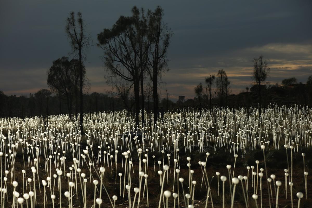 Field of Light | Ayers Rock Resort