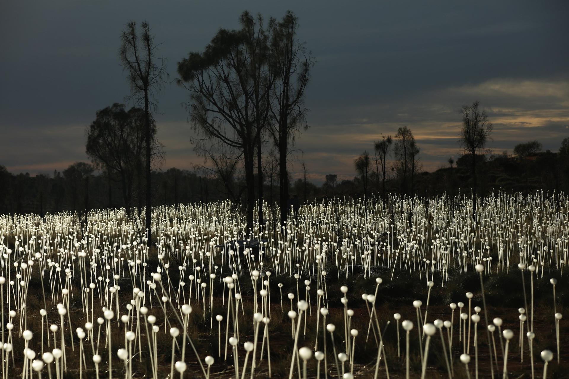 Field of Light | Ayers Rock Resort