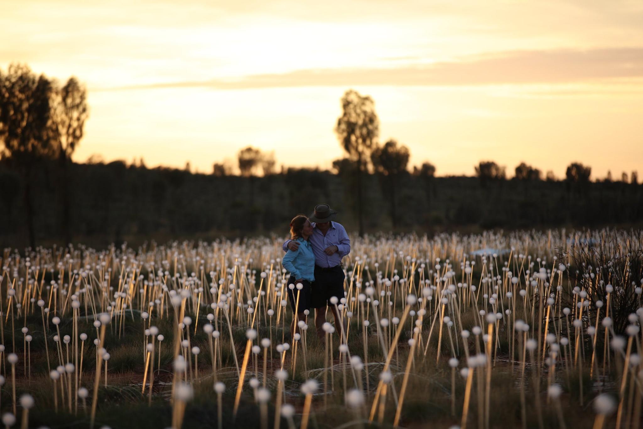 Field of Light | Ayers Rock Resort