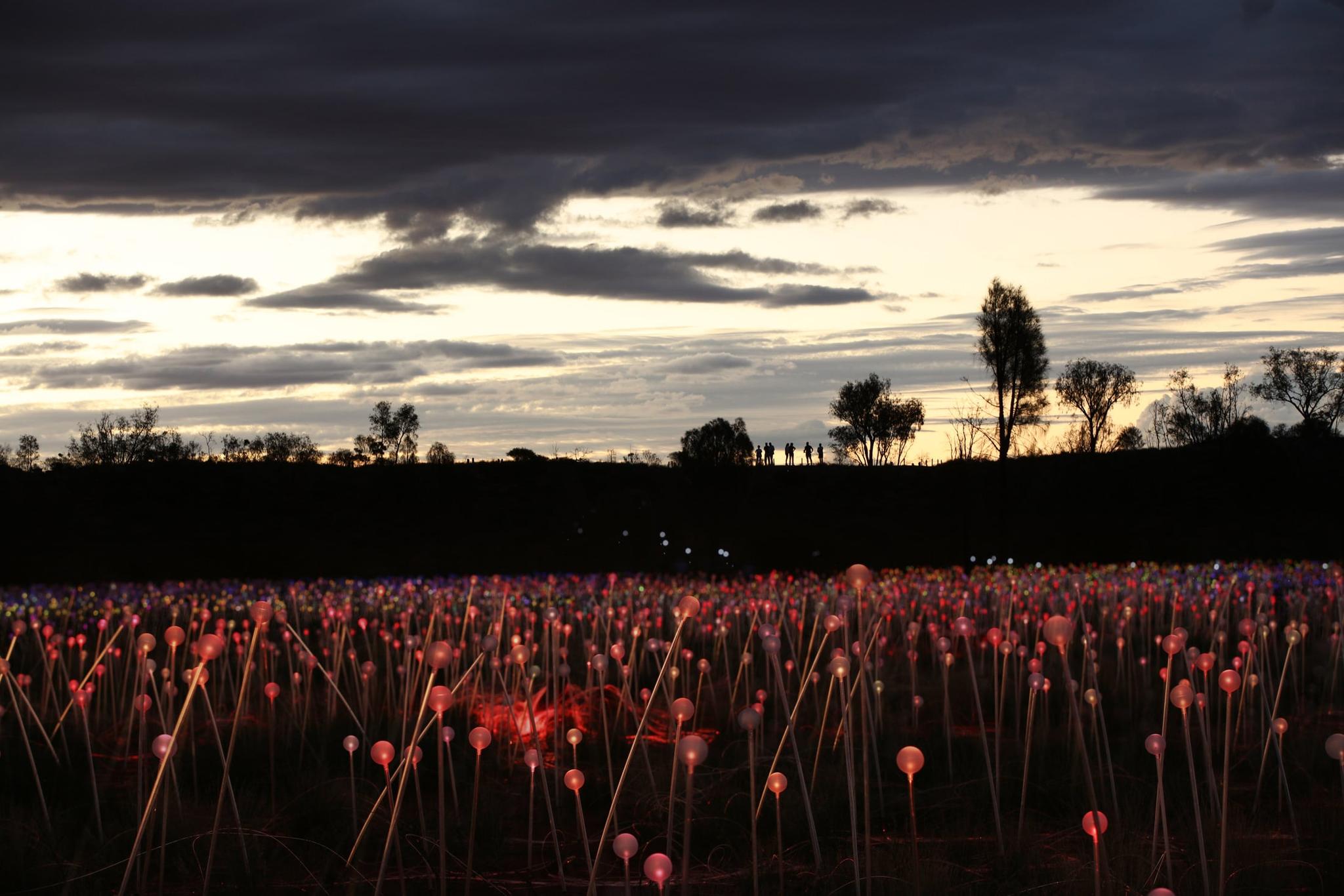 Field of Light | Ayers Rock Resort
