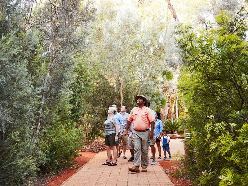 Free and Unforgettable: 5 Things to Do at Uluru Without Paying a Cent ...