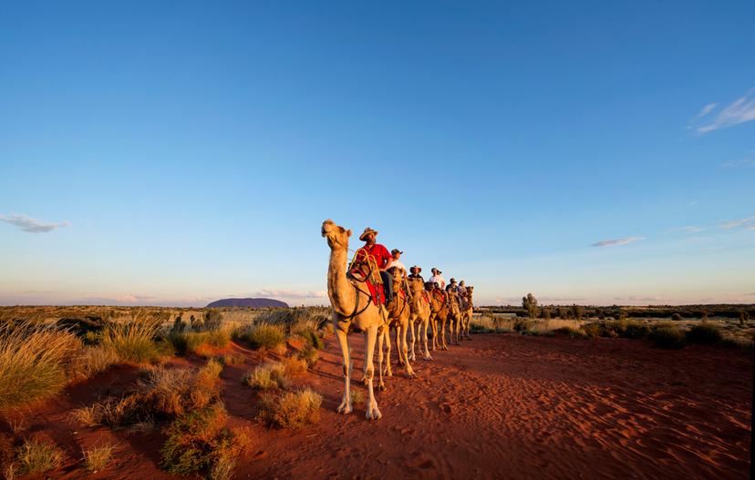 5 Critters to Spot in Uluru Kata Tjuta | Ayers Rock Resort